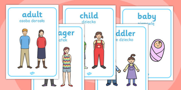 👉 Human Growth Display Posters Polish Translation - polish