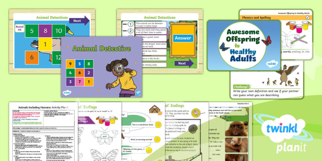 Animals And Their Offspring | Guided Reading Pack | Year 2