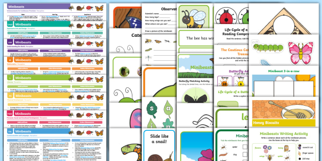 EYFS Minibeasts Activity Planning and Continuous Provision