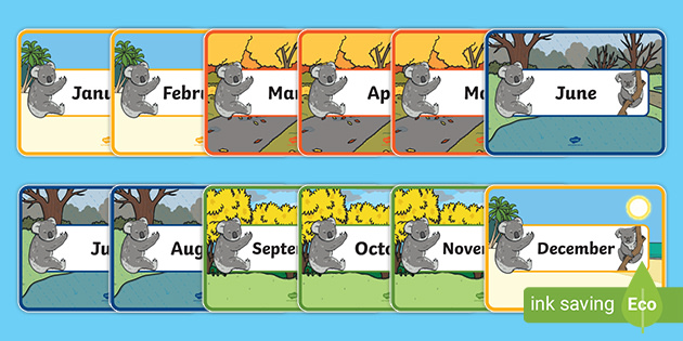 Koala Months of the Year and Seasons Display Posters