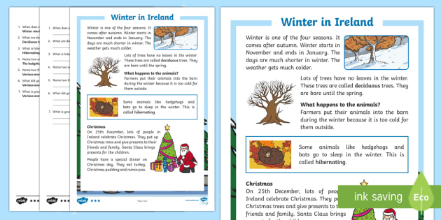Winter in Ireland 1st and 2nd Class Differentiated Reading Comprehension