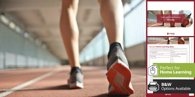 KS3 Resources | twinkl.com.au