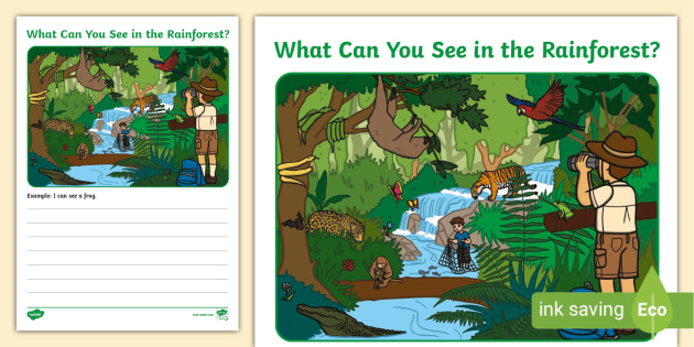 What Can You See in the Rainforest? Describing Activity