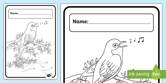 FREE! - Cuckoo Bird Colouring Book Cover (teacher made)
