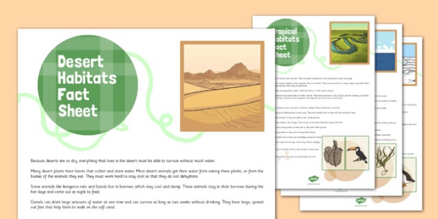 World Habitats Fact Sheets (teacher made)