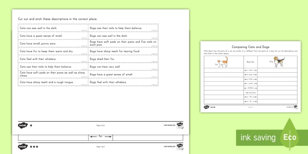 Comparing the Structure of Dogs and Cats Differentiated Worksheet