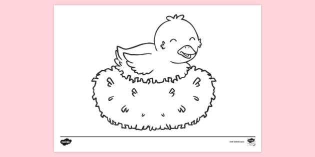 FREE! - Birds Nest Colouring | Colouring Sheets