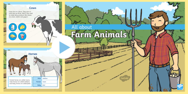 All About Farm Animals PowerPoint - Early Childhood Animals, Animals, Pre-K