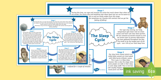 Sleep Cycle Second Level Display Poster (teacher made)