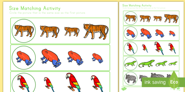 Jungle Themed Size Matching Worksheet / Worksheet