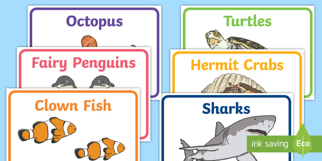 👉 Beach Signs - Classroom Display Resources