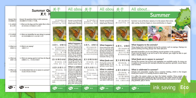 Summer Comprehension Differentiated Worksheet / Worksheets English/Mandarin