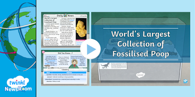 Children Museum • Twinkl.com.au