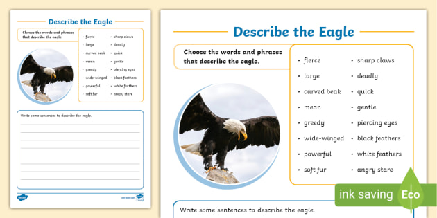 Describe the Eagle Writing Worksheet (teacher made)