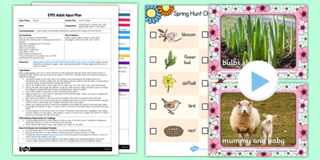 Spring Walk EYFS Adult Input Plan and Resource Pack