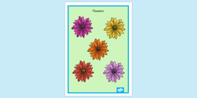 FREE! - Online Flower Display Poster | Primary Resources