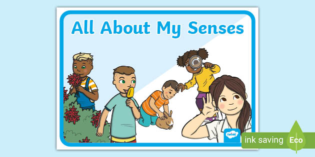 All About Me: My Senses Display Poster