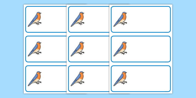 FREE! - Bluebird Themed Editable Drawer-Peg-Name Labels (Blank)