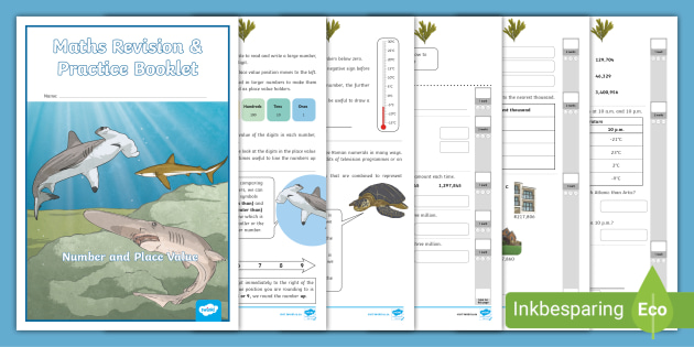 Place Value Practice and Revision Booklet (teacher made)