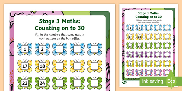 Stage 3 Maths: Counting On to 30 Worksheet