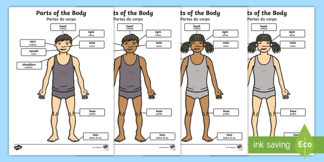 Parts of the Body Labelling Sheet English/Portuguese - Parts of the ...