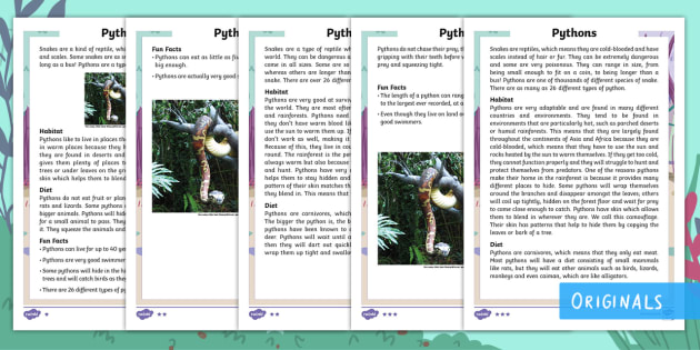 Pythons Differentiated Fact File (teacher made)