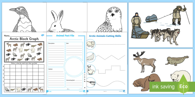 Top Ten The Arctic Activity Pack (teacher made)