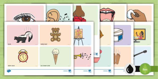 Five Senses Sorting Worksheet