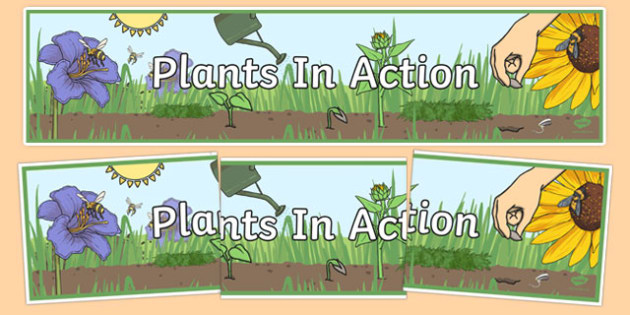 Plants In Action Display Banner (teacher made)