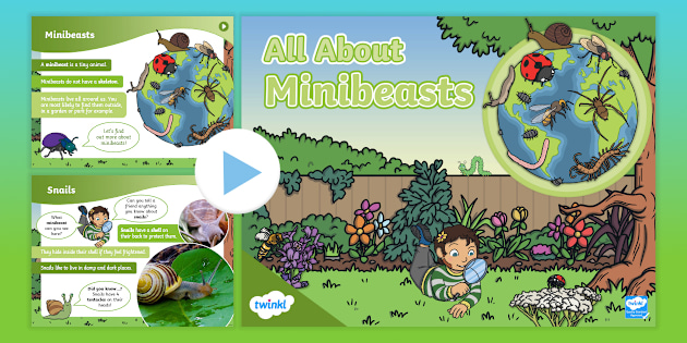 White Rose PowerPoints | twinkl.com.au