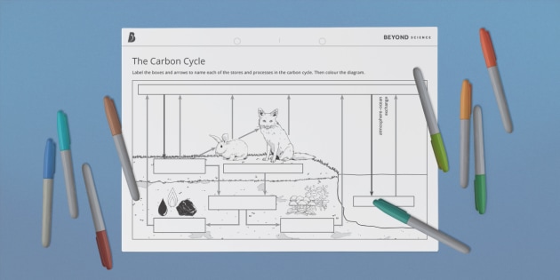 The Carbon Cycle Colouring Sheets | Biology | Beyond Science