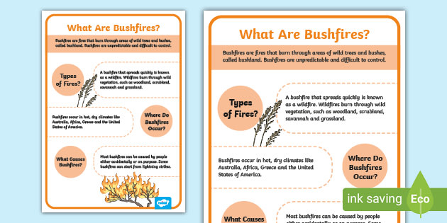 What are Bushfires? Information Poster (teacher made)