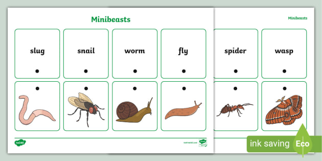 Minibeasts Thread Matching Activity (teacher made)