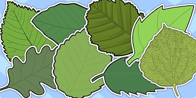 A4 Green Leaves Cut-Outs