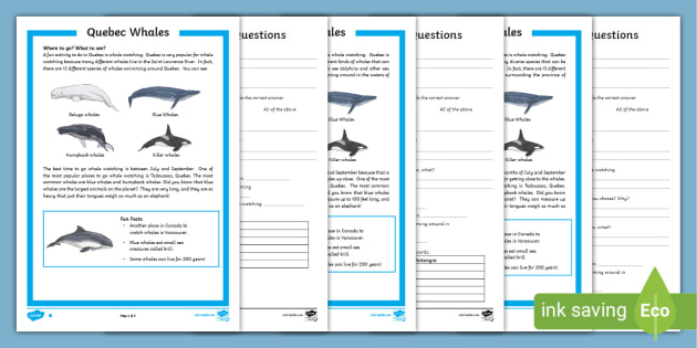 Quebec Whales Differentiated Reading Comprehension Activity