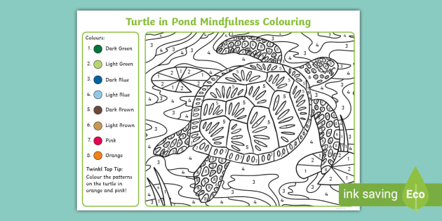FREE! - Turtle in Pond Mindfulness Colour by Number