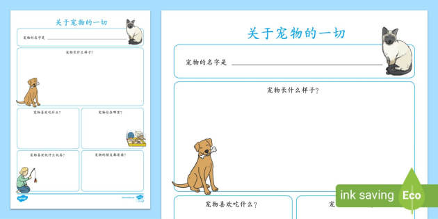 *Chinese version All About a Pet Worksheet* (teacher made)