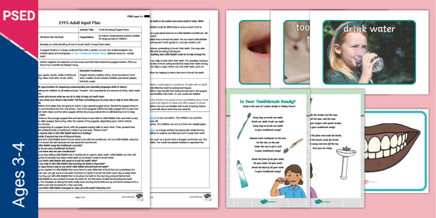 EYFS Tooth Brushing Puppet Show Adult Input Plan and Pack