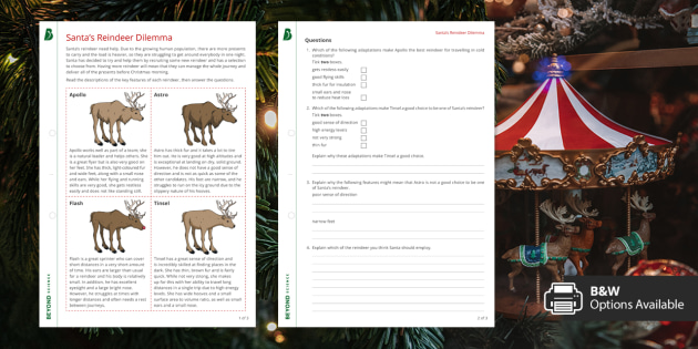 Reindeer Facts for Kids - Twinkl Homework Help - Twinkl