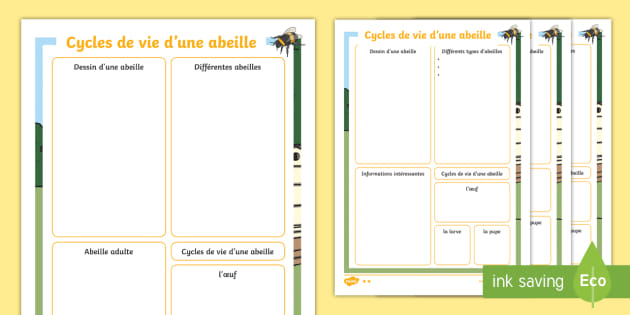 Fiches d'activités différenciées : Les cycles de vie d'une abeille Fiches d'activités différenciées : Les cycles de vie d'une abeille