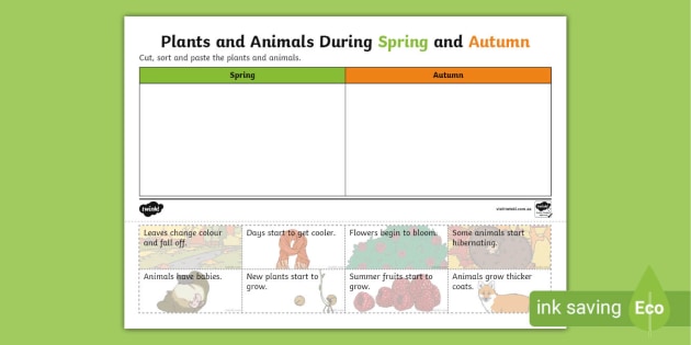 Plants and Animals During Spring and Autumn | F-2 Science