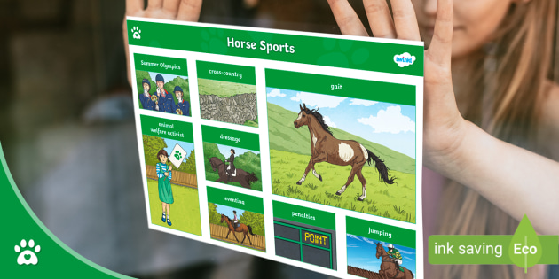 Horse Sports - Word Mat - Equestrian Sports - Twinkl Pets