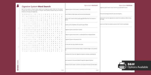 Digestive System Word Search - Beyond Secondary - Science