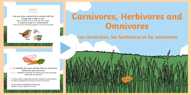 Identifying Herbivores, Carnivores and Omnivores PowerPoint English/French