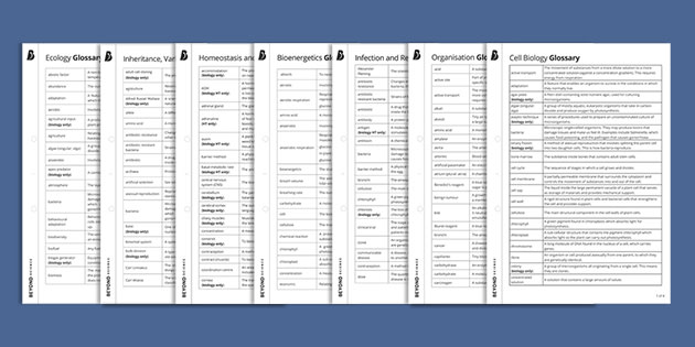 GCSE Biology Vocabulary Glossaries Bundle | Beyond