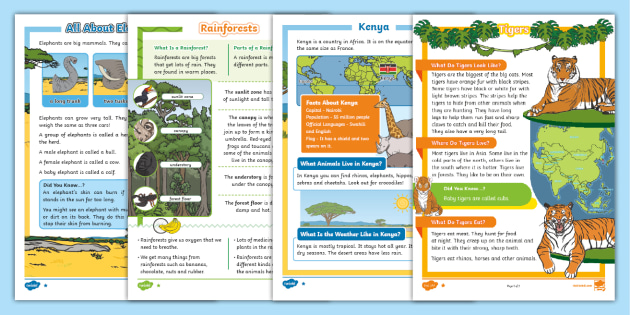 KS1 We're Going On Safari! Bumper Reading Comprehension Pack