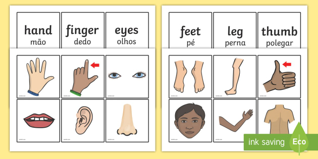 Parts Of The Body Word and Picture Matching Cards English/Portuguese ...