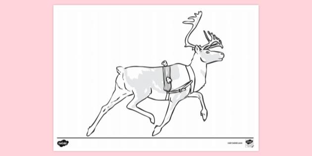 FREE! - Reindeer in Harness Colouring Sheet | Colouring Sheets