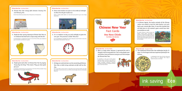 Chinese New Year Display Fact Cards English/Portuguese - Chinese New Year