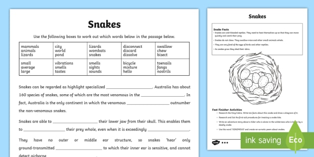 Australian Animals Years 3-6 Snakes Differentiated Worksheet / Worksheets